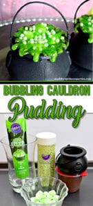 Halloween Party Food Cauldron Pudding Pots
