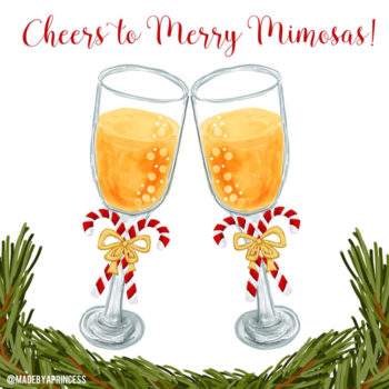 Budget Friendly Holiday Mimosa Bar Party
