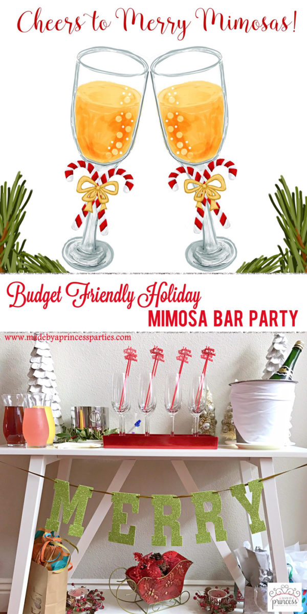 Budget Friendly Holiday Mimosa Bar Party
